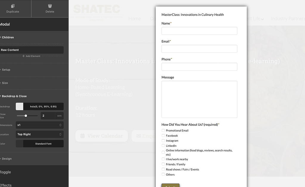 Modal Popup Form no longer displays - Support - Themeco Forum