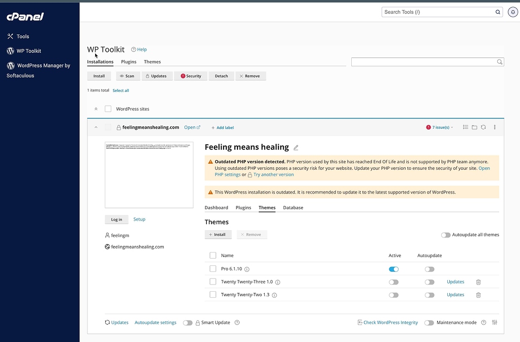 Pro theme not correct loaded (Instruction mail "WordPress 6.2 Issue — Read Before Updating" not ...