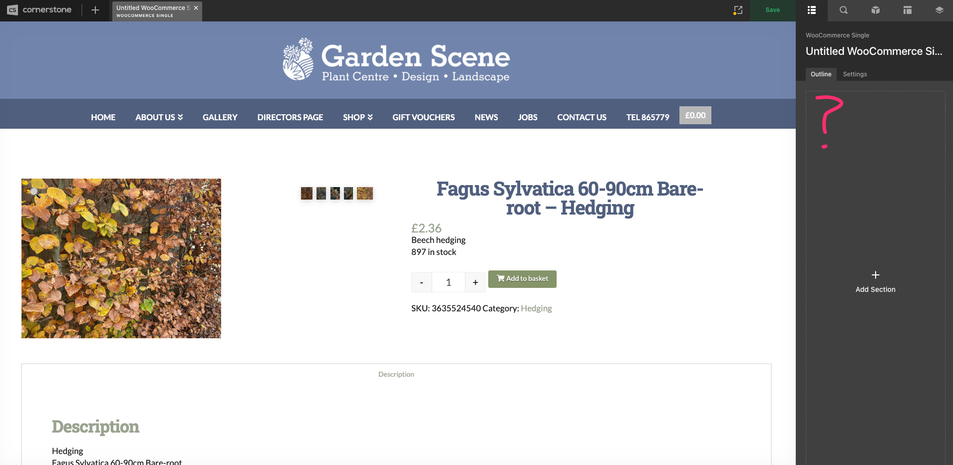 Pro Woocommerce Single Page Edit Support Themeco Forum